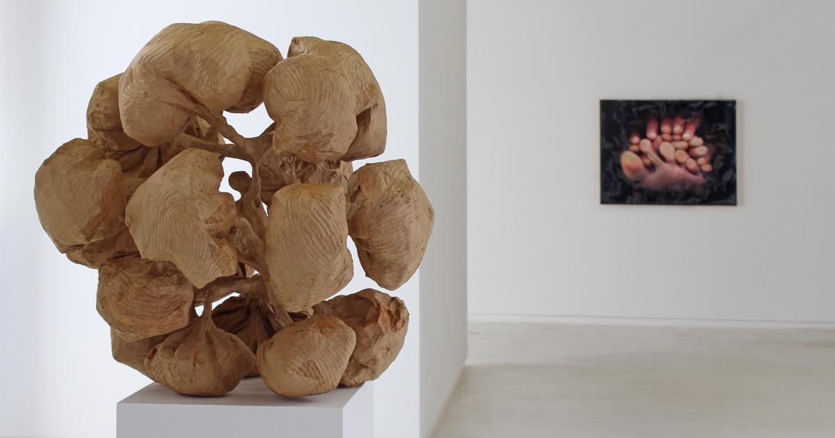 Tim Hawkinson | Hosfelt Gallery